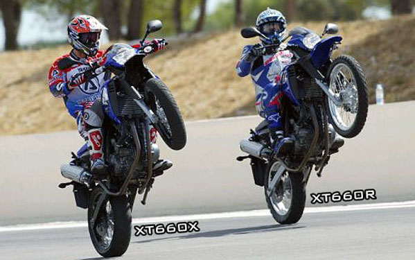 Stammbaum XT 660 R/X